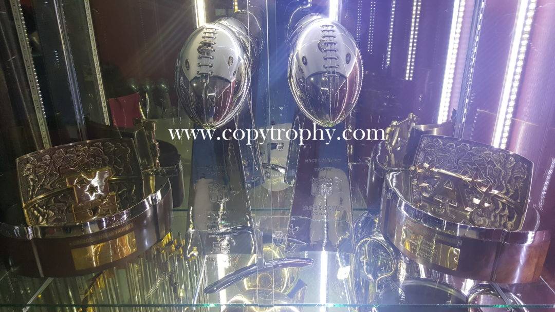 NFC Conference Playoff Trophy Replica. George S Halas Trophy.