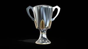 Replica Trophies - NFL, AFL, UEFA - Contact us